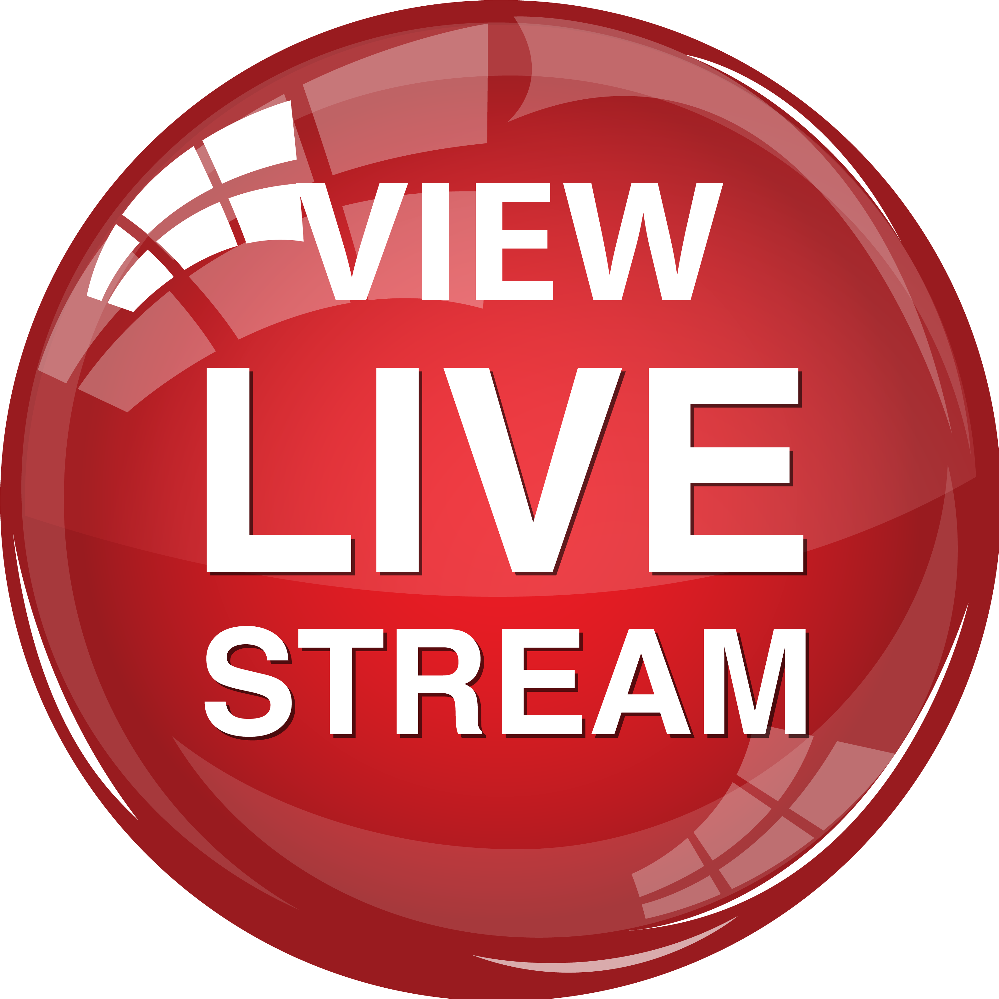 View Live Hub – Professional Livestreaming and Video Recording Services ...
